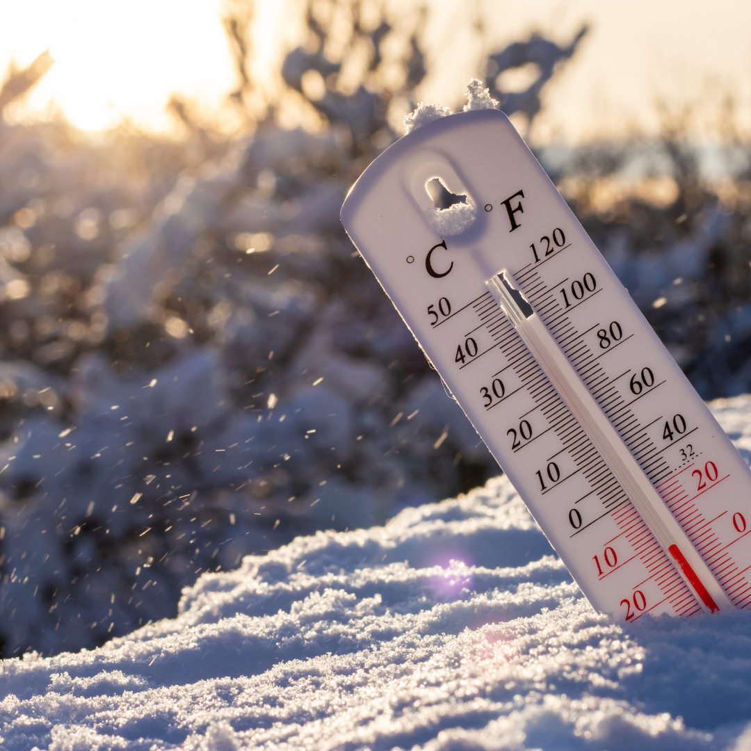 Plan Grand Froid : la mobilisation du SIAO Paris | SIAO